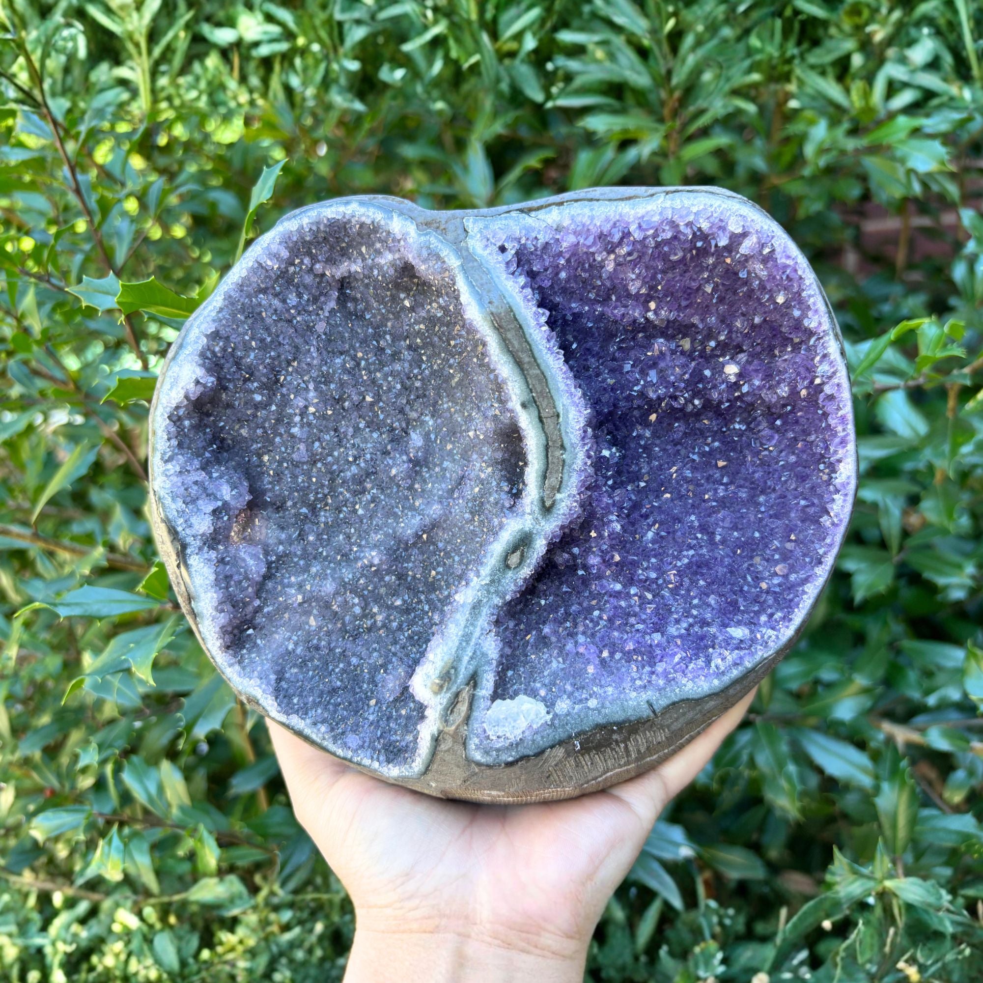 Bi-Color Amethyst Geode RGD832 – Gem Avenue