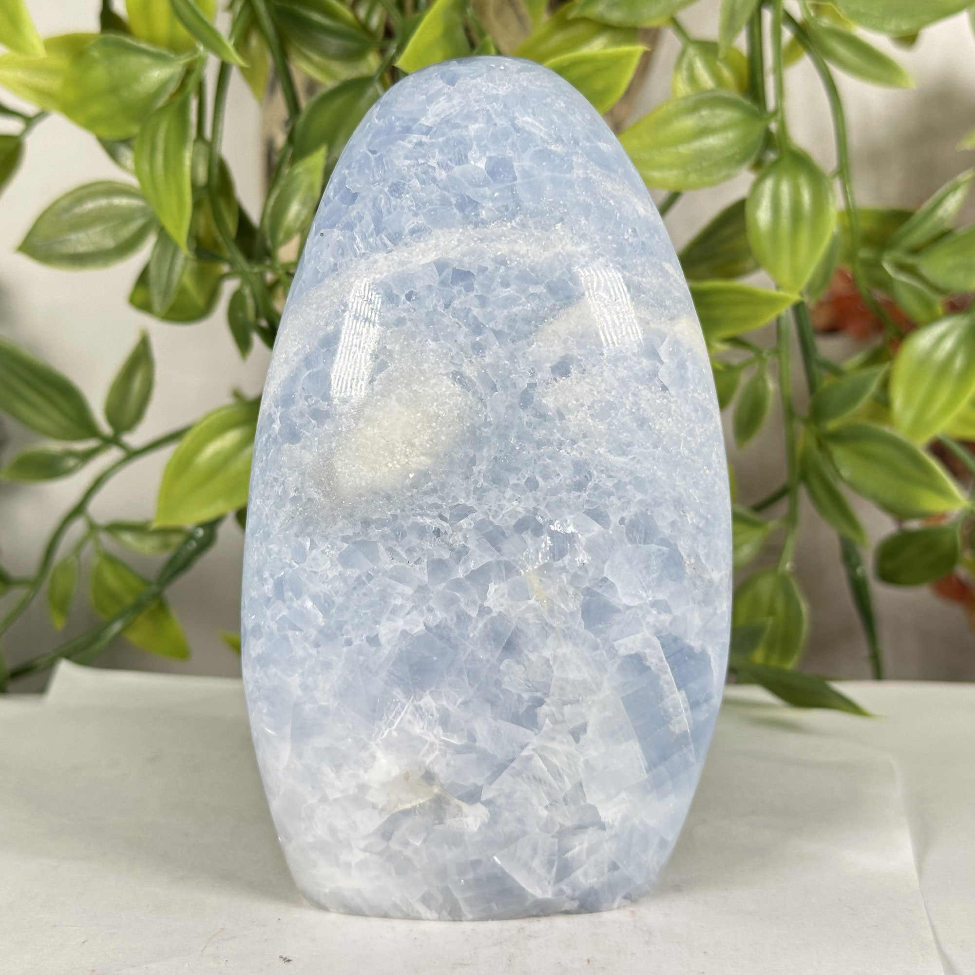 Natural Blue Celestite Crystal 4.5 Inch Display Specimen RPS573 – Gem ...